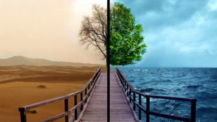 Live Your Life in the Contrasts - Katey Schultz